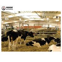 China prefabricated cattle/sheep/pig shed with H-beam or light steel trusses. Anti-corrosion, insulated steel structure, energy-saving, eco-friendly, professional design, customizable. for sale