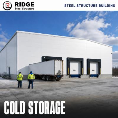 China Light Steel Structure Warehouse Building with Quick Installation for sale