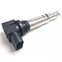 China VW Beetle Ignition Coil 036905715F 12 Month Warranty for Bora Jetta Passat Polo Audi A1 A3 for sale
