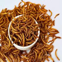 China high protein cheapest Dried Mealworms for birds for sale
