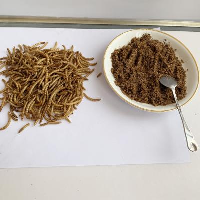 China Brown High Protein Black Soldier Fly Powder for sale