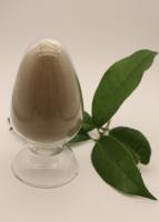 China Defatted Black Soldier Fly Protein Powder FDA GMP+ for sale