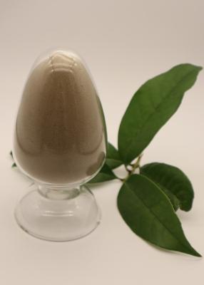 China Defatted Black Soldier Fly Protein Powder FDA GMP+ for sale