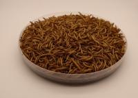 China Dried Microwave Worm Bird High Protein 57% Pet Feed for sale