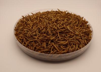 China Dried Microwave Worm Bird High Protein 57% Pet Feed for sale