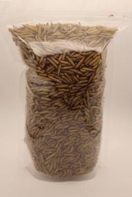 China High Protein Black Soldier Fly Larvae Dried Low Fat for sale