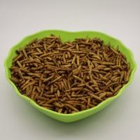 China Widely Available Dried Black Soldier Fly with 1 Year Shelf Life for sale