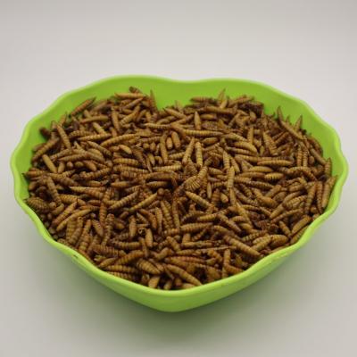 China Widely Available Dried Black Soldier Fly with 1 Year Shelf Life for sale