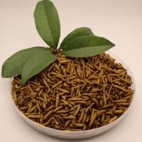 China Black Crispy Dry Fly Larvae Meal Cool Dry Storage Low Fat for sale