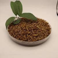 China Dried Mealworms Insects for Sale High Protein and Nutritious for sale