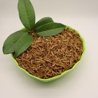 China Dried Mealworms Natural Protein-Rich Mealworm Treats for Pets for sale