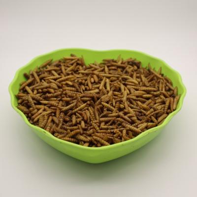 China Yellow Dried Black Soldier Fly 3-5cm High Protein GMP+ FDA for sale