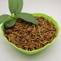 China Insect Dried Black Soldier Fly Larvae Yellow Low Fat for sale
