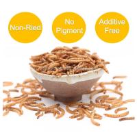 China Dried Mealworms Natural Protein-Rich Mealworm Treats for Pets for sale