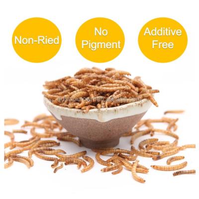 China Dried Mealworms Natural Protein-Rich Mealworm Treats for Pets for sale