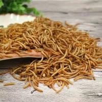 China Frozen-Dried Insects Mealworms for Pet Feeding wholesale dried mealworms dried superworm for sale