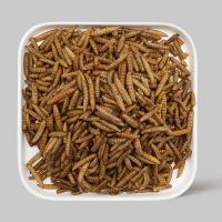 China Organic Dried Soldier Fly Larvae Cool And Dry Storage for sale