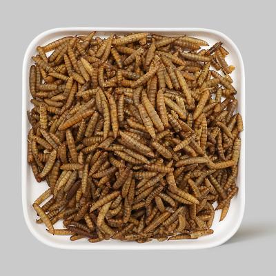 China Organic Dried Soldier Fly Larvae Cool And Dry Storage for sale