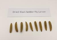 China Yellow Dried BSF Larvae - Suitable for Storage Cool And Dry Place for sale