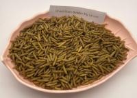 China Yellow Black Soldier Fly Larvae Dried 3-5cm High Protein Low Fat for sale