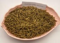 China Yellow Nutritional Value Black Soldier Fly Meal Low Fat and Satisfying for sale