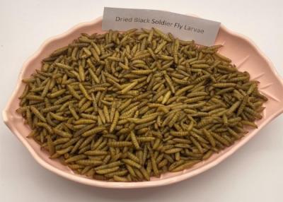 China Yellow Nutritional Value Black Soldier Fly Meal Low Fat and Satisfying for sale