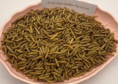 China High Protein Black Dried BSF Larvae Insect Low Fat 3-C for sale
