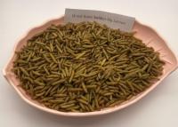 China Yellow Dried BSF Larvae - Suitable for Storage Cool And Dry Place for sale