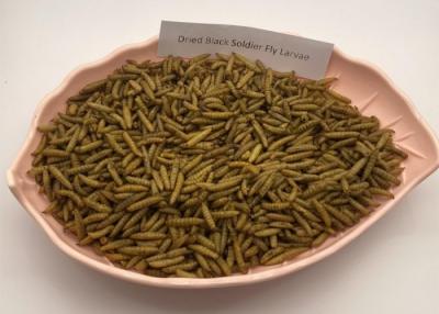 China Yellow Dried BSF Larvae - Suitable for Storage Cool And Dry Place for sale