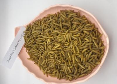 China Widely Available Dried Black Soldier Fly Origin for Insect Applications for sale