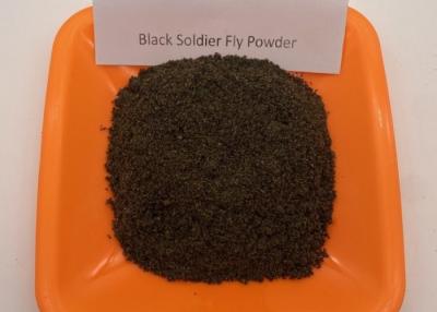 China High Protein Dried Soldier Fly Powder With Phosphorus Minerals for sale