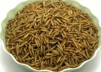 China Origin Soldier Fly Powder - Effective and Environmentally Friendly for sale