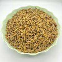 China Dry Crispy Texture Freeze Dried Black Soldier Fly Larvae 3-5cm for sale