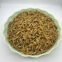 China Dried Black Soldier Fly Protein Rich in Essential Amino Acids for sale