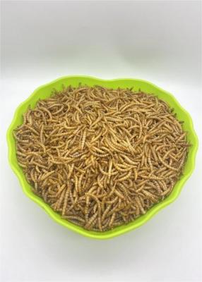 China Wholesale Low Cost Guaranteed Quality Proper Price Bulk Dried Pet Food Mealworms for sale