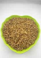 China 1 Year Shelf Life Freeze wholesale Dried Mealworms for sale