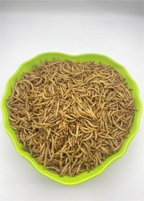 China Freeze-Dried Mealworms Insects for Pet Feeding Dry and Cool Place Storage for sale