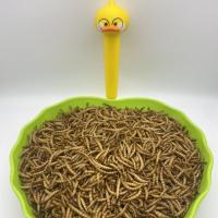 China Insects Ingredients Dried Mealworms For Fishing Pet Feed Additives for sale