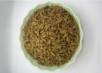 China 1 Year Shelf Life Freeze wholesale Dried Mealworms for sale