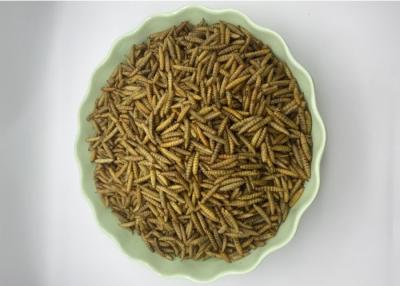 China 1 Year Shelf Life Freeze wholesale Dried Mealworms for sale