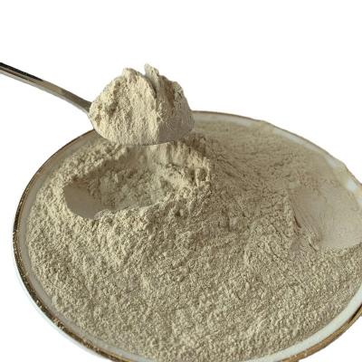 China Quality Protein with Cool Storage Black Soldier Fly Protein Powder for sale