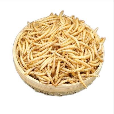 China FDA GMP+ Natural Dried Mealworms Fish Food Chickens Birds for sale