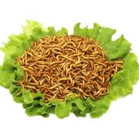 China Origin Premium Dried Mealworms - Fast & Free Shipping for sale