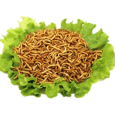 China Origin Premium Dried Mealworms - Fast & Free Shipping for sale