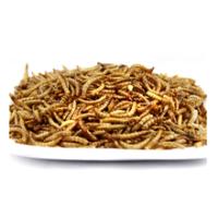 China Dried Mealworms 11 lbs for Pet Feeding - Iron Rich Store in Dry and Cool Place for sale