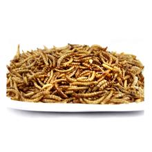 China Dried Mealworms 11 lbs for Pet Feeding - Iron Rich Store in Dry and Cool Place for sale