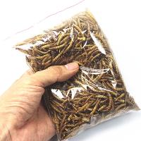China 1 Year Shelf Life Freeze Dried Worms for Pet Feeding for sale