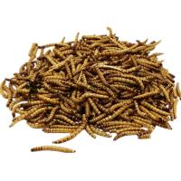 China Get Your Daily Protein Intake with BSF Powder Protein Serving Size 30g for sale