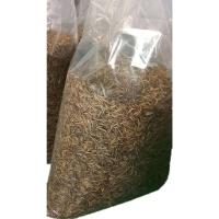 China Satisfying B2B Demand Dried Mealworms with 1 Year Shelf Life for sale