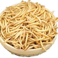 China Feed Additive Worm Meal Package 8.35kg/bag Raw Material Sourced from Mealworm for sale